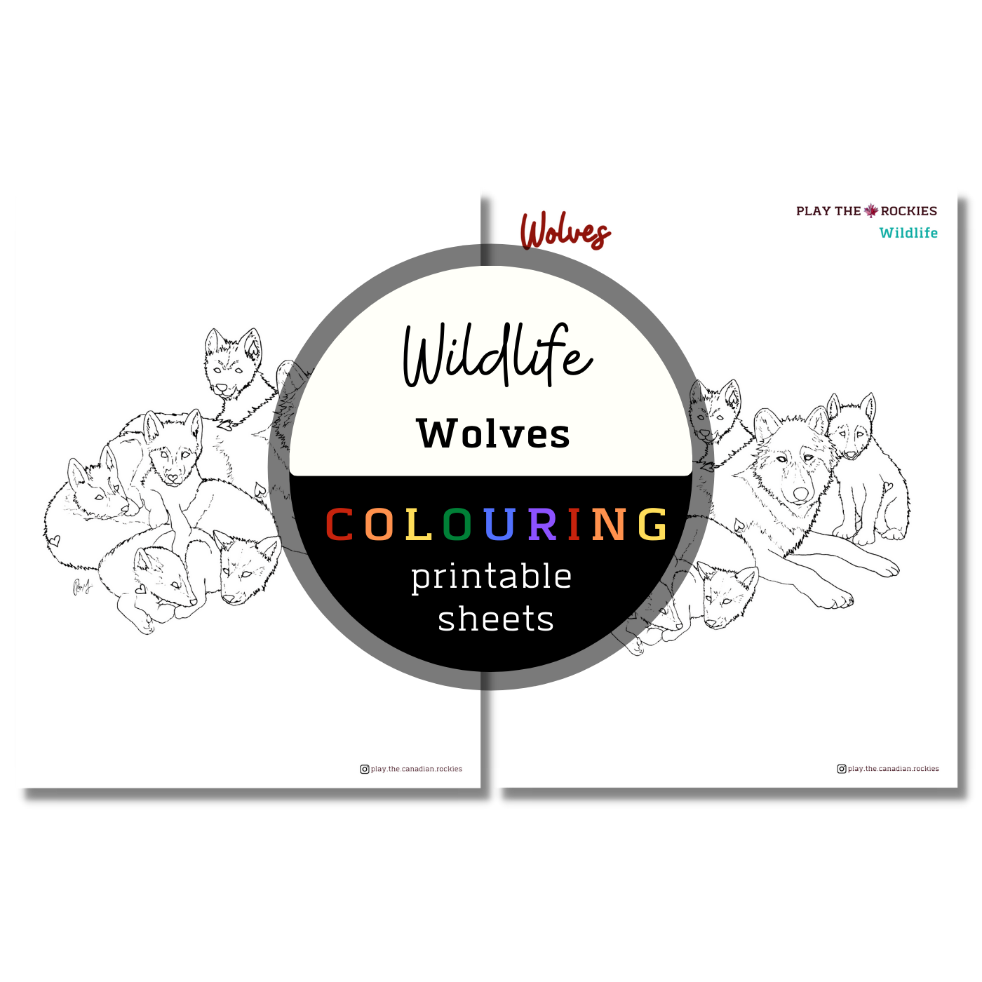 Wildlife: Wolves Colouring Sheets ⌲ Printable