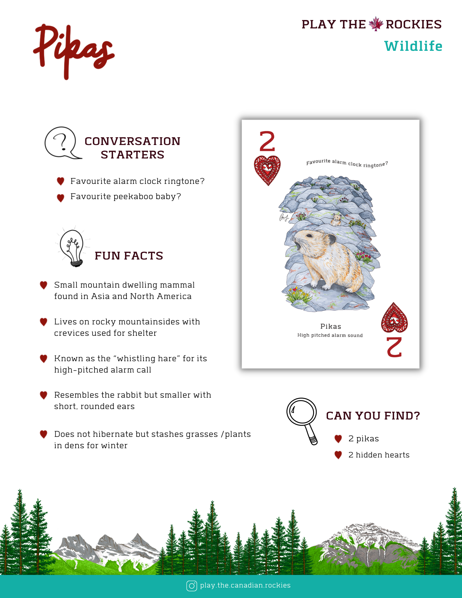 2 Pikas - Wildlife - Information Sheet