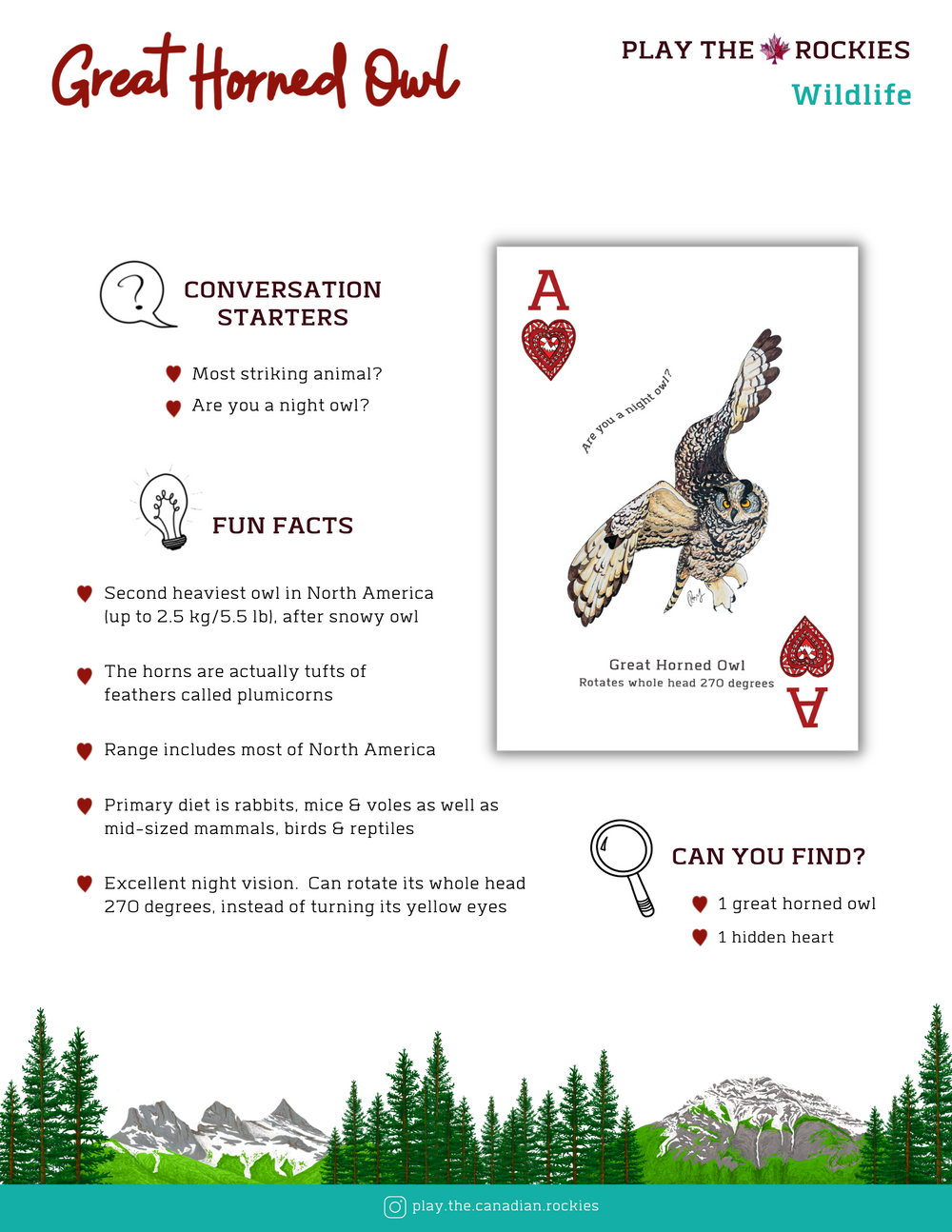 1 Ace - Great Horned Owl - Wildlife - Information Sheet